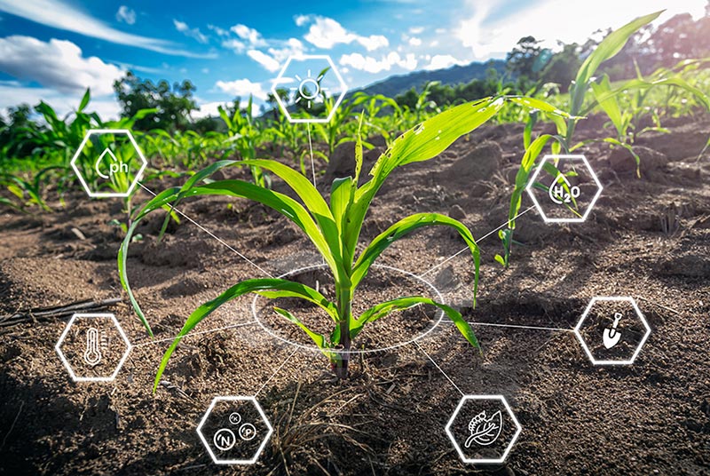 Precision Agriculture Technology for Smarter Farming