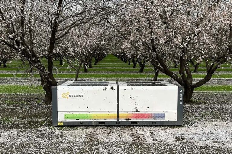 Beewise: The Robotic Hive That’s Rescuing Pollinators