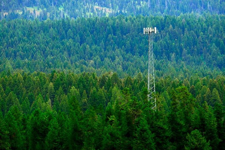 Smart Trail Cameras: IoT Revolutionizes Field Monitoring